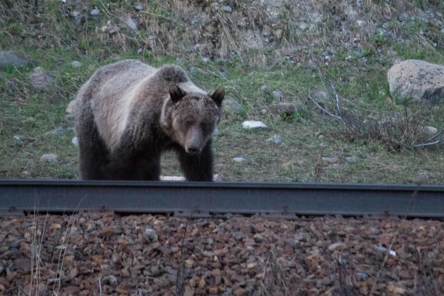 راهنمای کامل ایزو در عکاسی - مدرسه عکاسی اکسپو